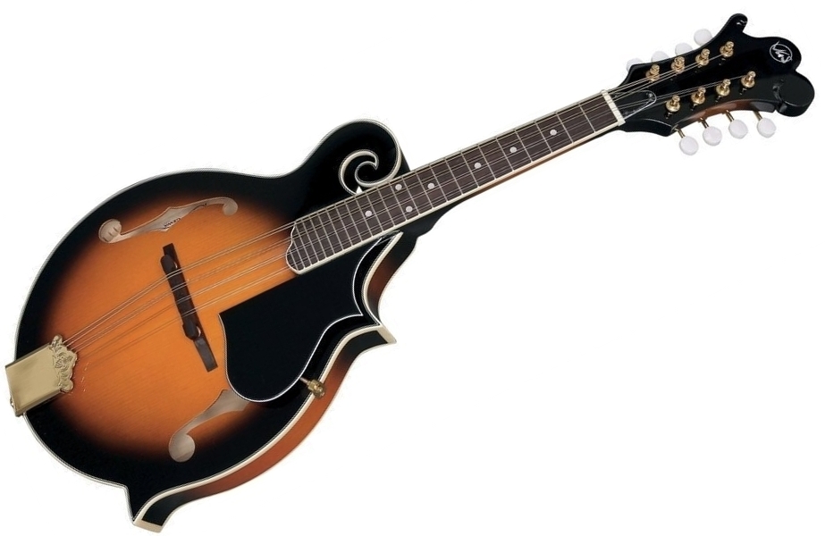 Stränginstrument / Övriga stränginstrument / Mandolin